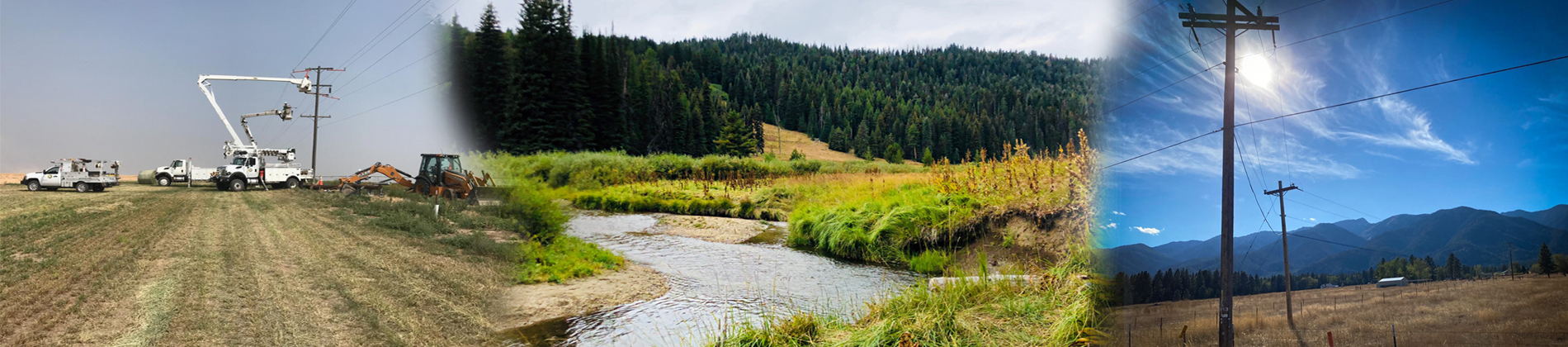 Meridian Customer Portal